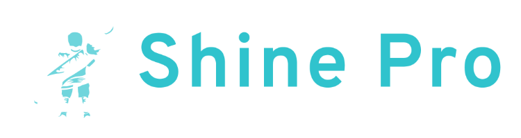 Shine Pro: nettoyage schoonmaak